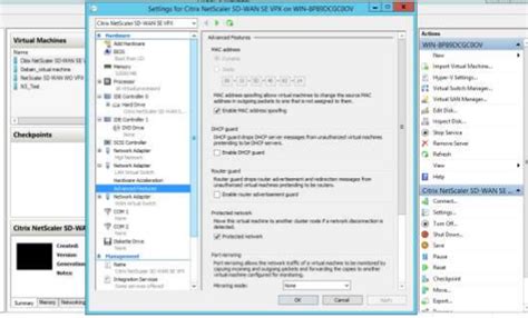 Sd Wan Standard Edition Virtual Appliance Vpx In Hypervisor On Hyperv