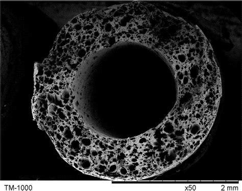 High Temperature Resistant Polyphenylene Sulfide Hollow Fiber Membrane