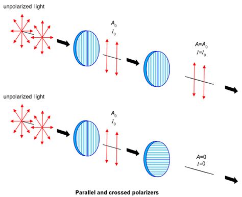 9 4 2 polarization xmphysics