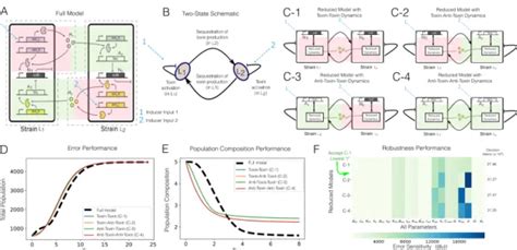 Conclusion Building Biological System Models