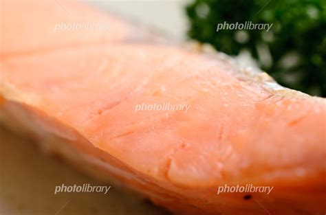 鮭の塩焼き 写真素材 6155806 フォトライブラリー Photolibrary