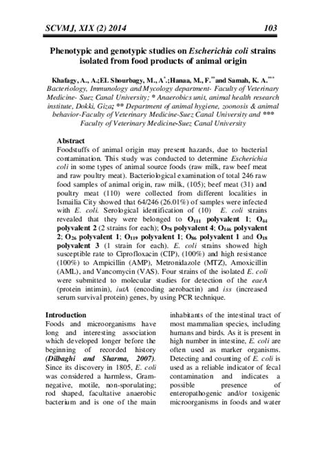 Pdf Phenotypic And Genotypic Studies On Escherichia Coli Strains