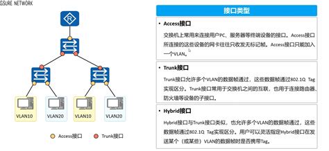 access、trunk、hybrid接口接收发送数据帧标签剥离区分 trunk接口接收发送 csdn博客