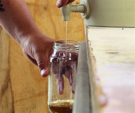 Mastering Compost Tea The Ultimate Liquid Elixir Guide For Your Garden