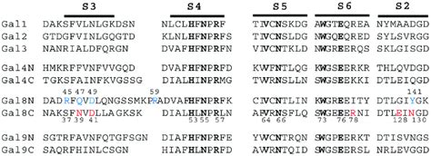 Multiple Sequence Alignments Of The Human Galectin Members Conserved