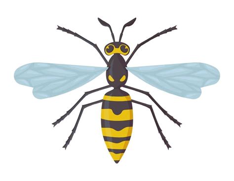 Wasp Cartoon Vector Art Icons And Graphics For Free Download