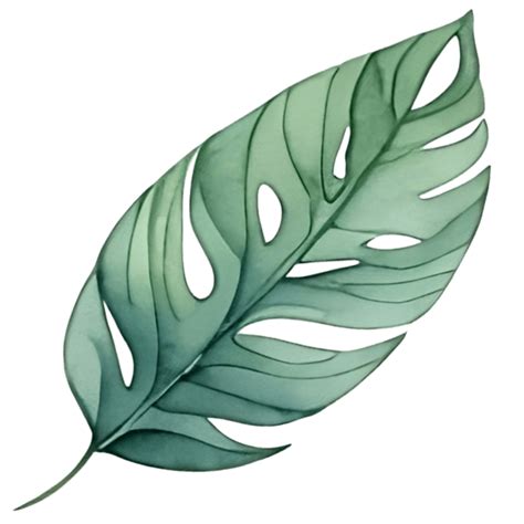 Aesthetic Leaf Pngs For Free Download