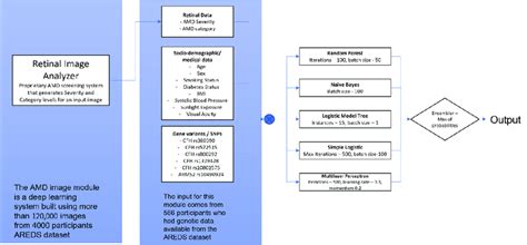 The Overall Structure Of The Late Amd Prediction Model Download Scientific Diagram