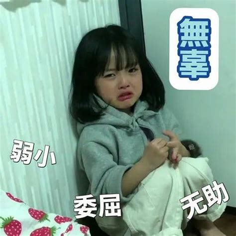 雨雨雨冷冷冷苏州又要变天了 降雨