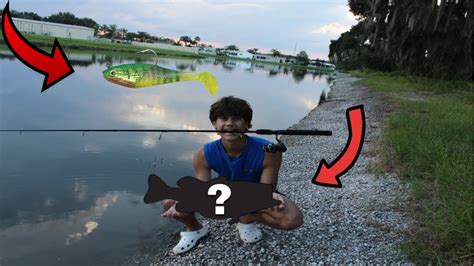1 Bait Challenge Bass Fishing Bass Manager The Best Bass Fishing