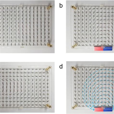 different behaviors of magnetic bodies in response to different spaces download scientific