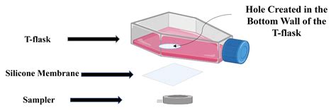 Noninvasive Measurement Of Dissolved Oxygen Co2 And Ph Cast Center