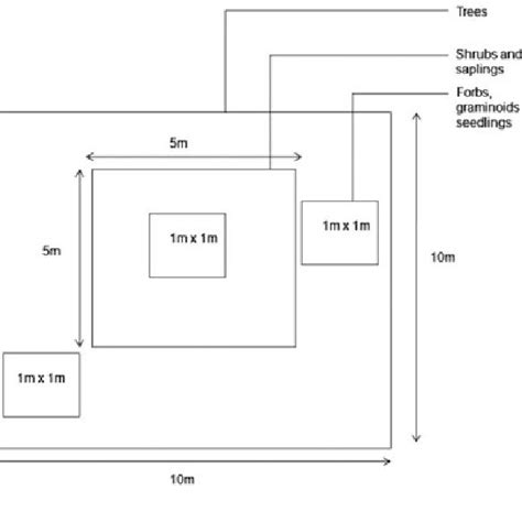 The Sampling Design Where Trees Were Sampled In 10 M X 10 M Plot