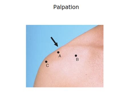 Shoulder Lab Tests Special Tests Flashcards Quizlet