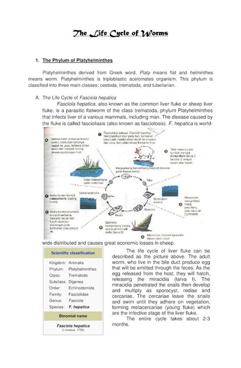 Pdf The Life Cycle Of Worms Dokumen Tips