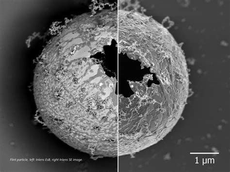 Zeiss Geminisem Produktfamilie