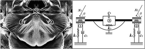 Iet Radar Sonar And Navigation Vol 18 No 10