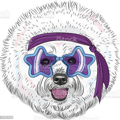벡터 말풍선이 있는 재미있는 지역으로 경견 Bichon 거수 디스코 개에 대한 스톡 벡터 아트 및 기타 이미지 개 벡터