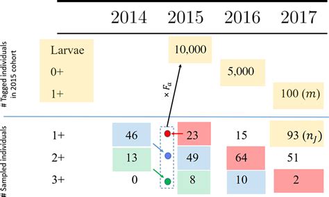 Validation Of Close‐kin Mark Recapture Ckmr Methods For Estimating Population Abundance