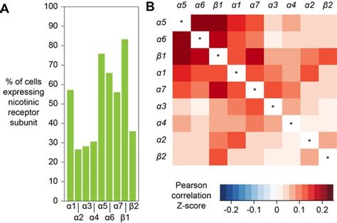 Figures And Data In Cellular Diversity In The Drosophila Midbrain