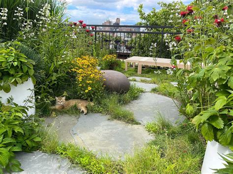 Todd Haiman Landscape Design