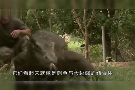印度村子出现奇怪生物 众人赶来合影留念 专家一看让人赶紧跑生物众人村子