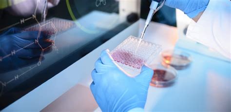 Plasmid Dna Preparation 100 Yield Guaranteed Quintara Plasmid Dna