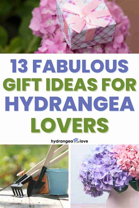 13 Fabulous Ts For Hydrangea Lovers Hydrangea Love
