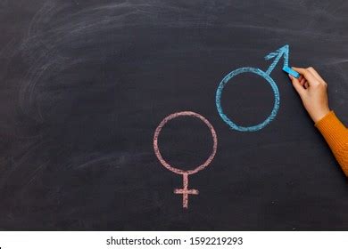 Gender Symbols Signs Male Female Sex Stock Photo 1592219293 Shutterstock