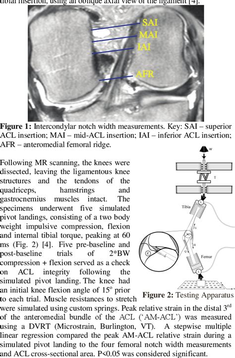 Figure 2 From Intercondylar Notch Width And Acl Cross Sectional Area