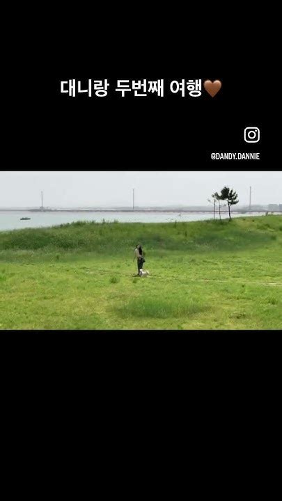 대니랑 두번째 여행🐶🤎 Youtube