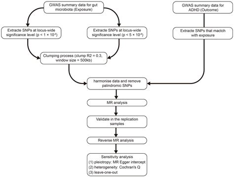 Two Sample Mendelian Randomization Analysis Investigates Causal Associations Between Gut