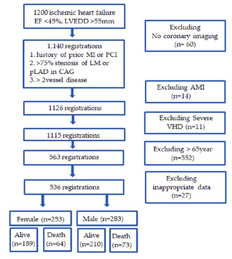 Patients Inclusion Flow Chart Ef Ejection Fraction Lvedd Left Download Scientific Diagram