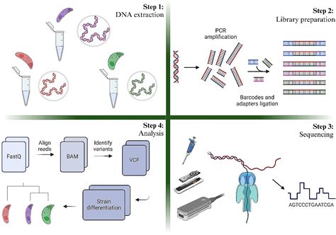 Nanopore Sequencing And No Miss Advance Microbial Genomics And