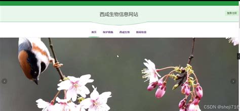 开题 Flask框架西咸生物信息网站z3939（程序论文python） Csdn博客