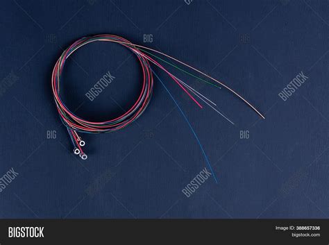 Set Six Coiled Image Photo Free Trial Bigstock