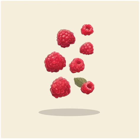 Premium Vector Illustration Of A Raspberry 04