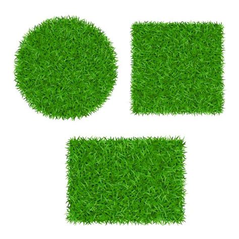 Grass Circle 3d Green Plant Grassy Round Field Vector Image