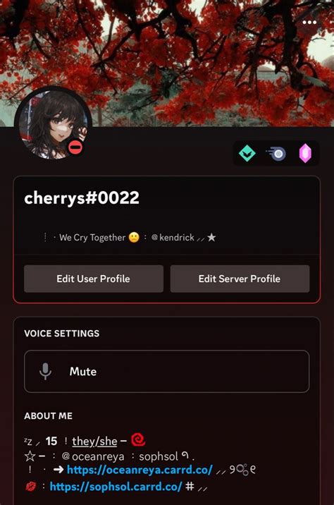 Discord Profile Inspo In 2024 Profile Discord User Profile