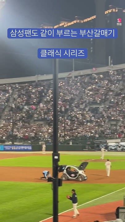 240411 클래식 시리즈 부산갈매기 롯데자이언츠 삼성라이온즈 Youtube