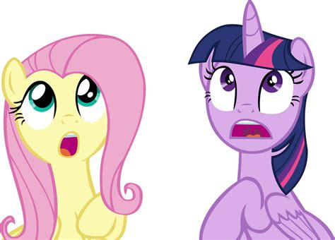 Twilight Sparkle And Fluttershy Amazed By Cyanlightning On Deviantart