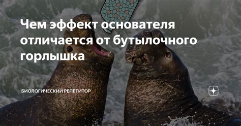 Чем эффект основателя отличается от бутылочного горлышка