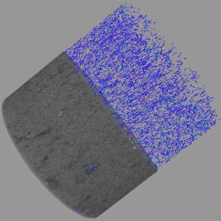 A Dense Graph Of Pores For The Same Sample Shown In Figure 3 Showing
