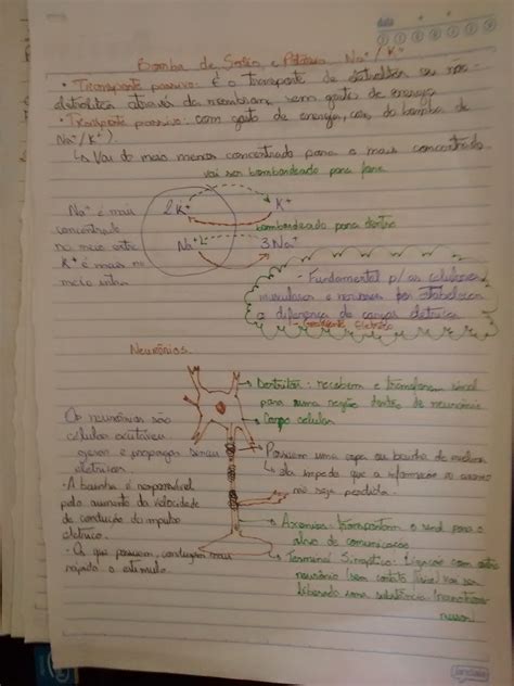 Resumo Bomba De SÓdio E PotÁssio Biofísica