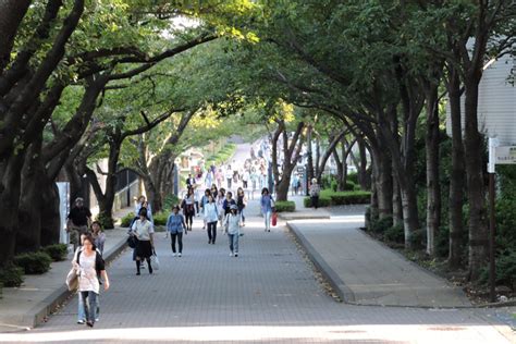 キャンパスライフ 日本大学 生物資源科学部 生命農学科