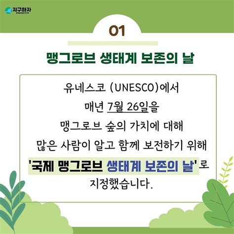 국제 맹그로브 생태계 보존의 날 뉴스트림