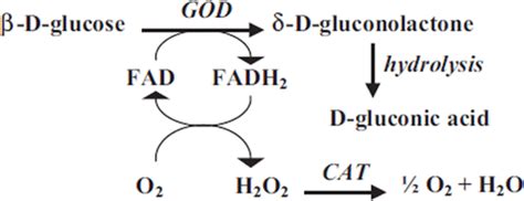 Full Article Coencapsulation Of Oxygen Carriers And Glucose Oxidase In