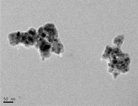 Tem Image Of The Green Synthesized Titanium Dioxide Nanoparticles Download Scientific Diagram