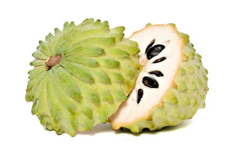 「guyabano」の画像 4283 件の Stock 写真、ベクターおよびビデオ Adobe Stock