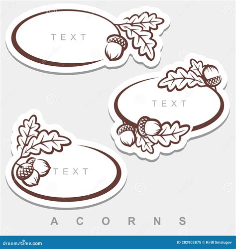 Acorns Set Collection Acorns Leaves Frame Stock Illustration